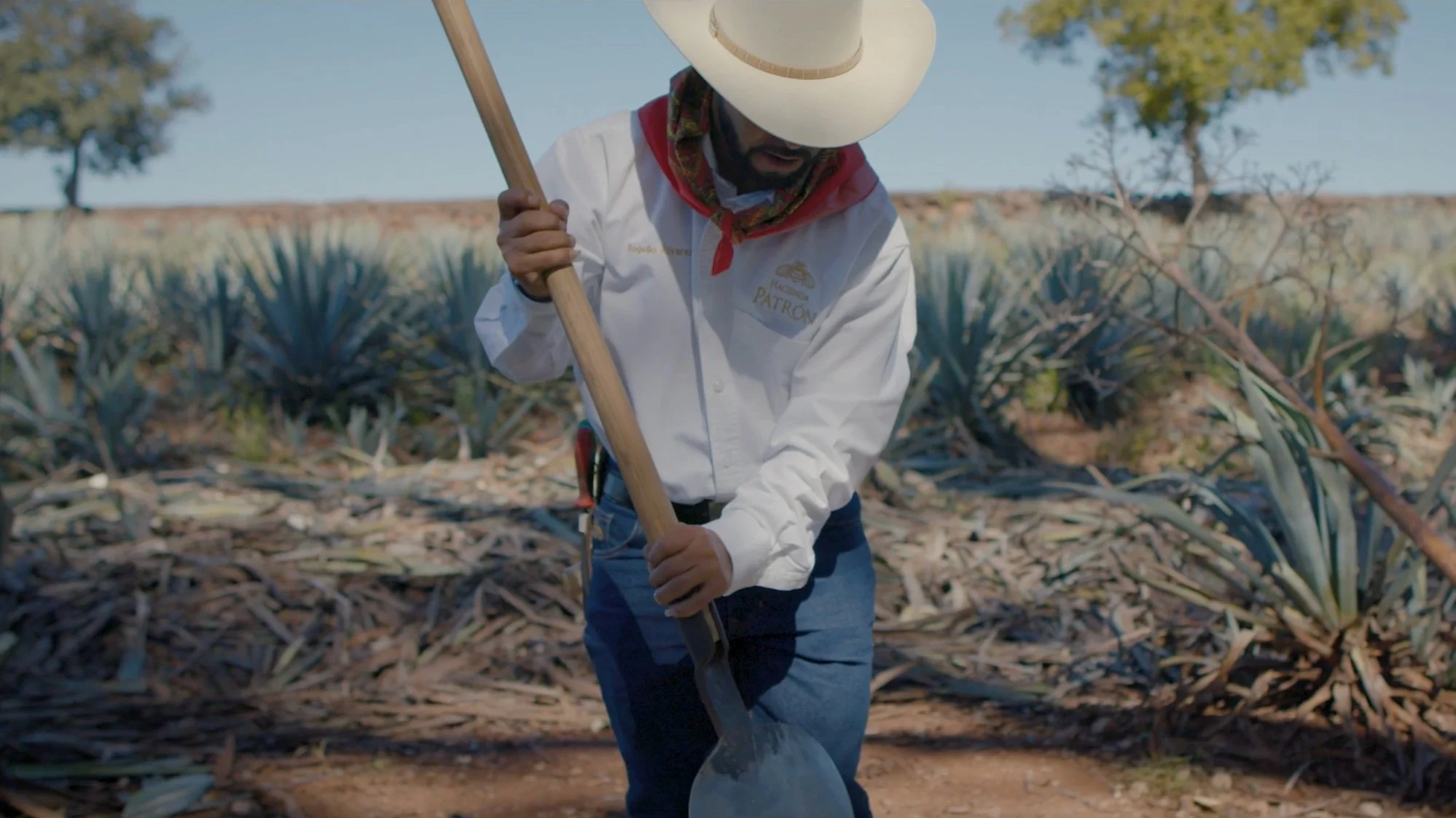 Work — Black Oak Visuals